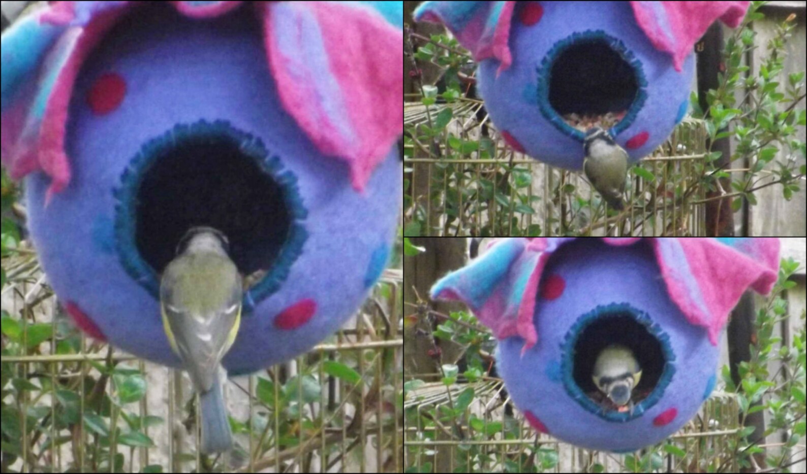 Felted bird pod bird house ornament window decoration | Etsy