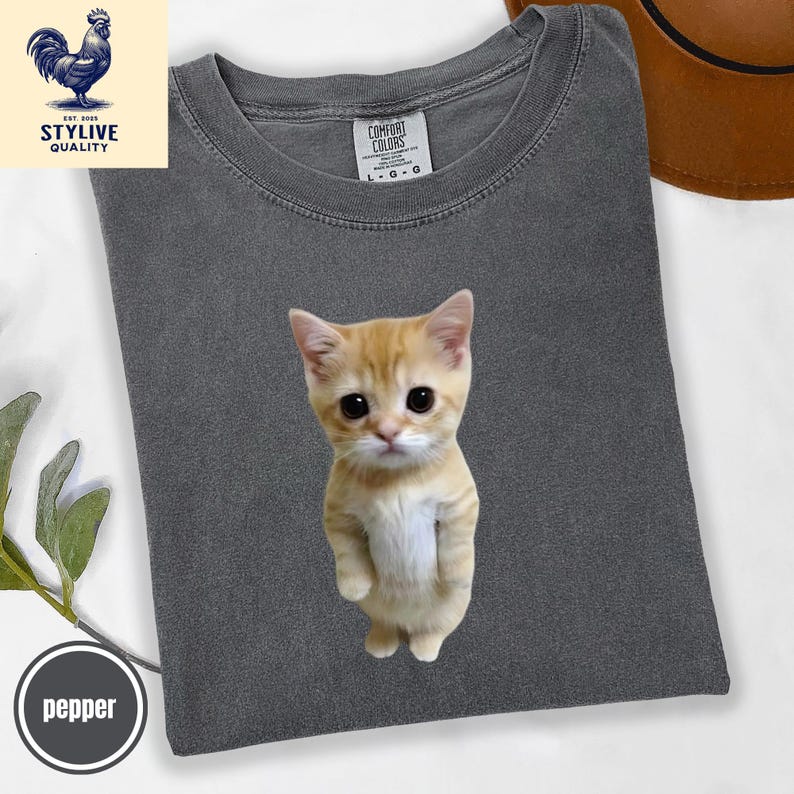 Sad Cat Meme Shirt, Funny Genz Brainrot Pibble T-shirt, Sad Kitten ...