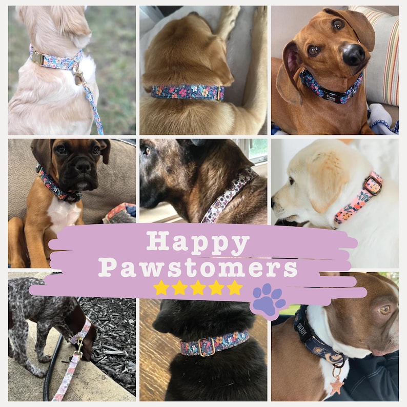 Spring Flowers Dog Collar With Leash, Metal Buckle, Personalized Floral ...