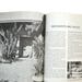 Vintage Desert Gardening Book Mid Century Modern Landscaping - Etsy