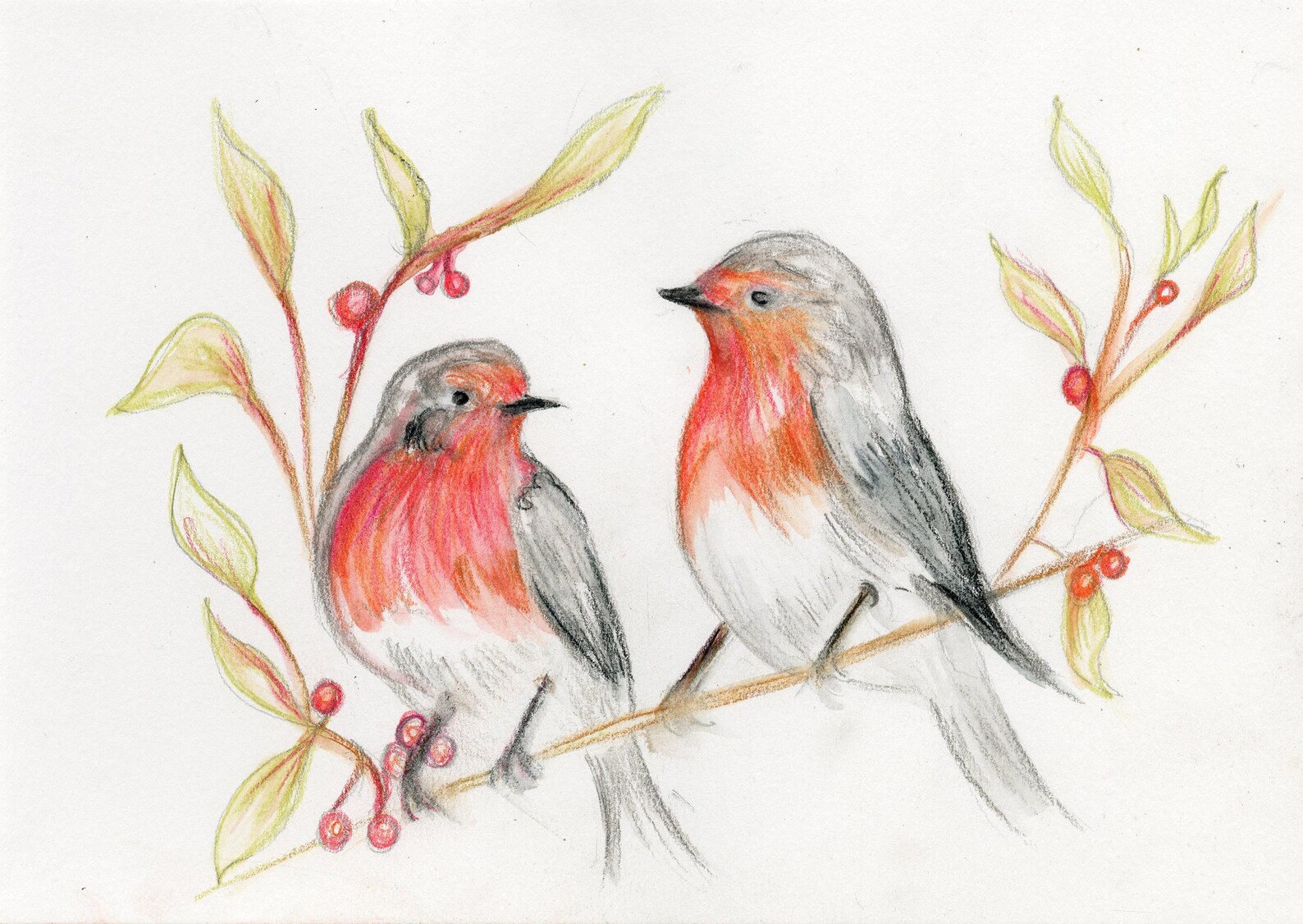 6 Handmade Robin Photo With Angel Logo on Back - Etsy