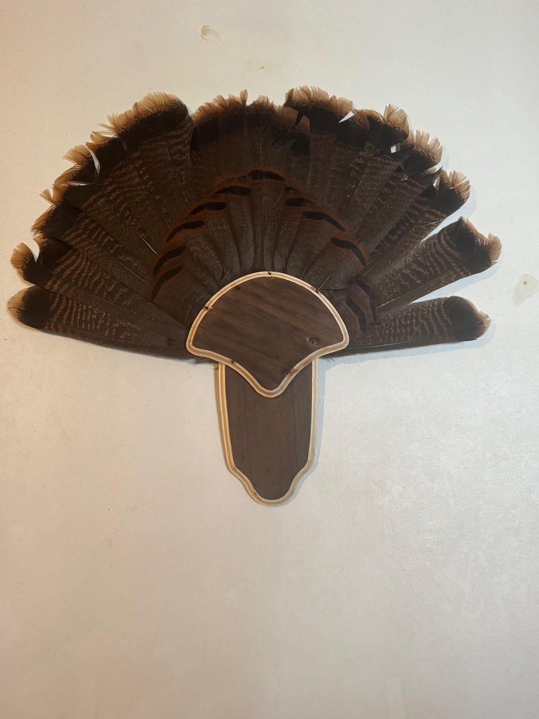 Reclaimed Wood Turkey Fan Mount - Etsy