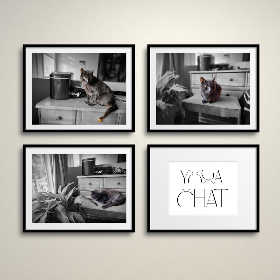 Set of 3 Digital Photographs and 1 Typographic Poster of a Yoga Cat ...