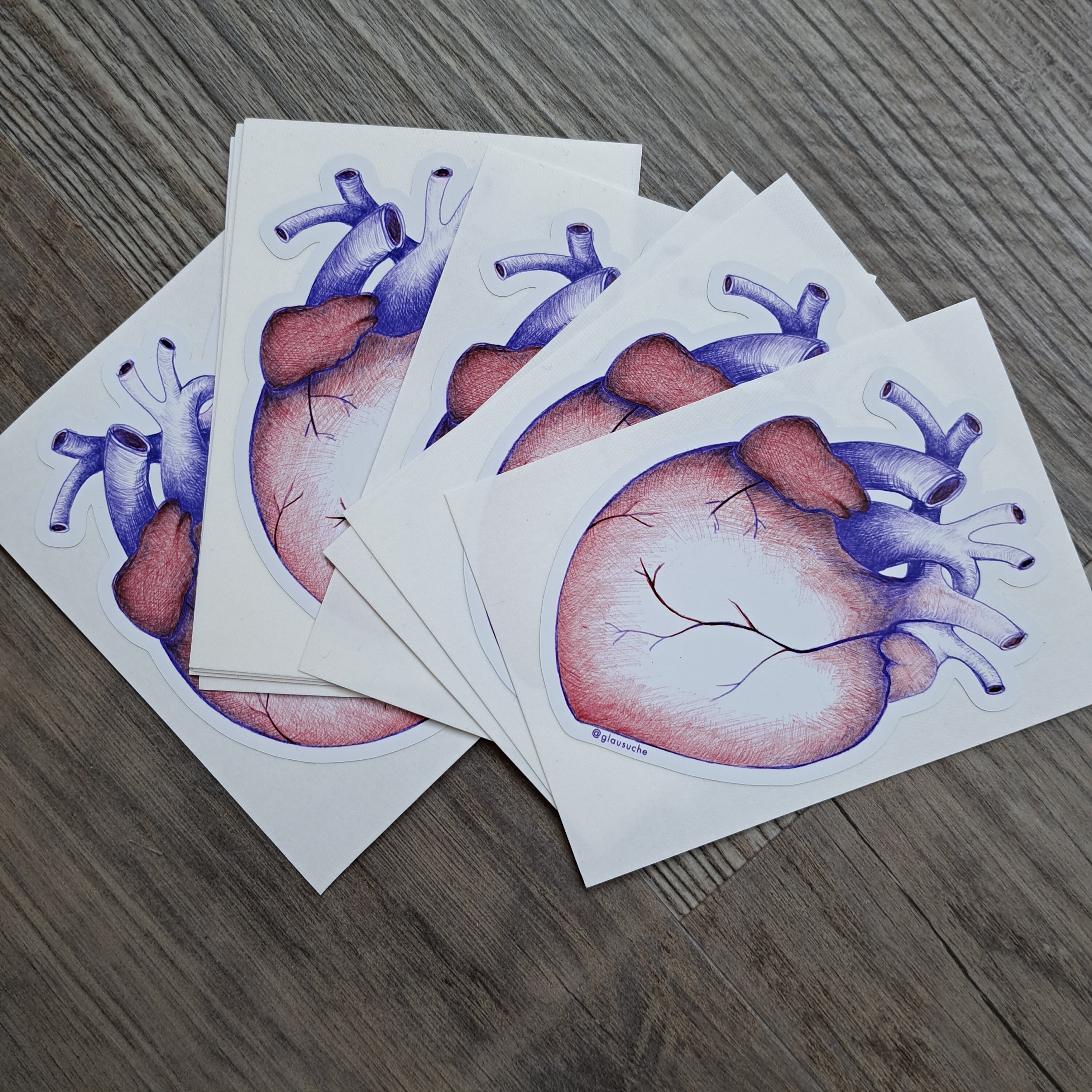 Anatomical Heart Sticker - Etsy