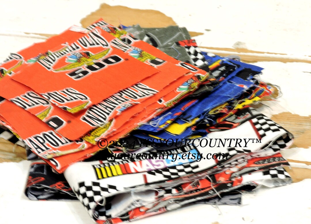 Race Car Fabric Crumb Snippet Scrap Bag Small Cotton Pieces Nascar ...