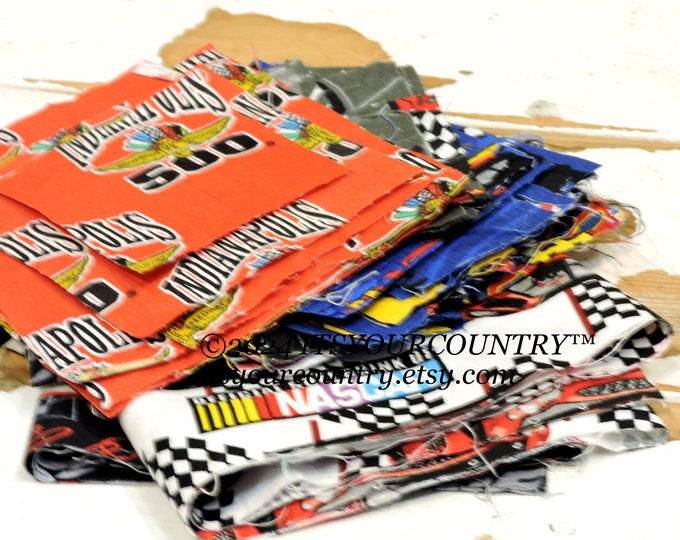 Race Car Fabric Crumb Snippet Scrap Bag Small Cotton Pieces Nascar ...