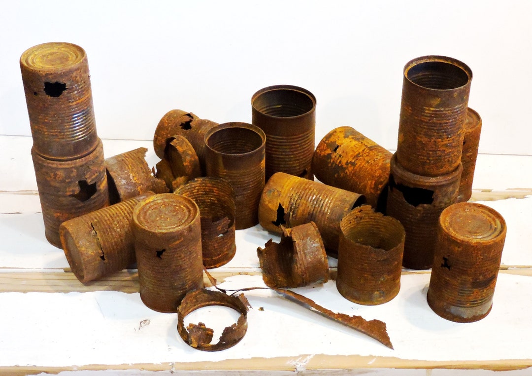 Distressed Rusted Tin Can Pieces, Rusty Recycled Broken Salvaged Metal ...