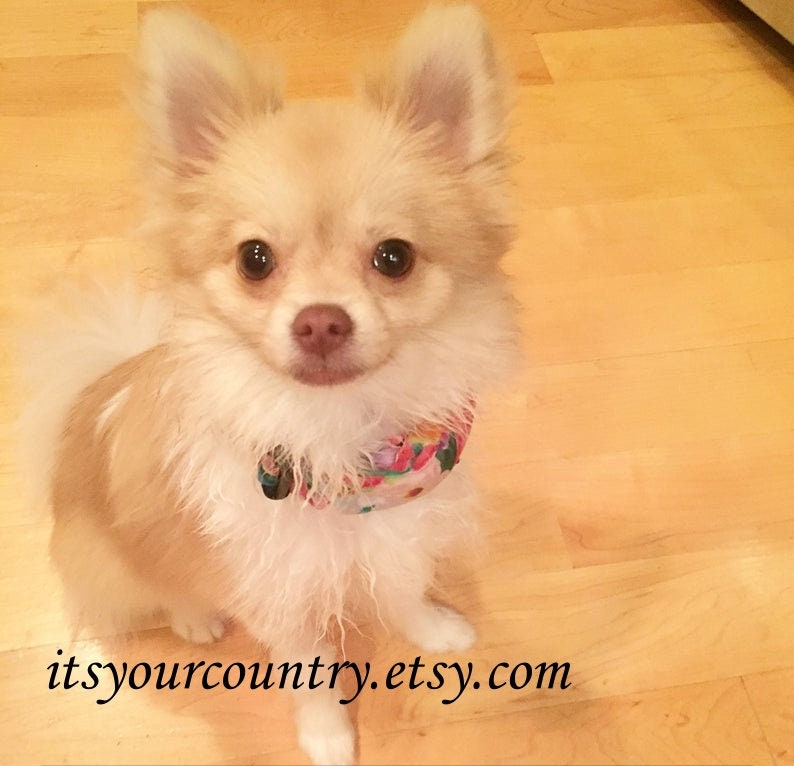 Dog Cooling Collar Pet Neck Cooler Wrap Stay Cool Tie Band | Etsy