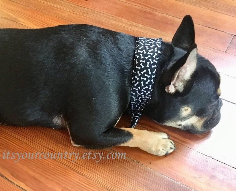 Dog Cooling Collars Pet Neck Cooler Wraps Cool Tie Bandana - Etsy