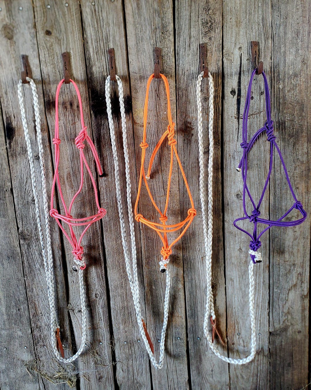 Rope Halter With Mule Tape Lead Rope - Etsy