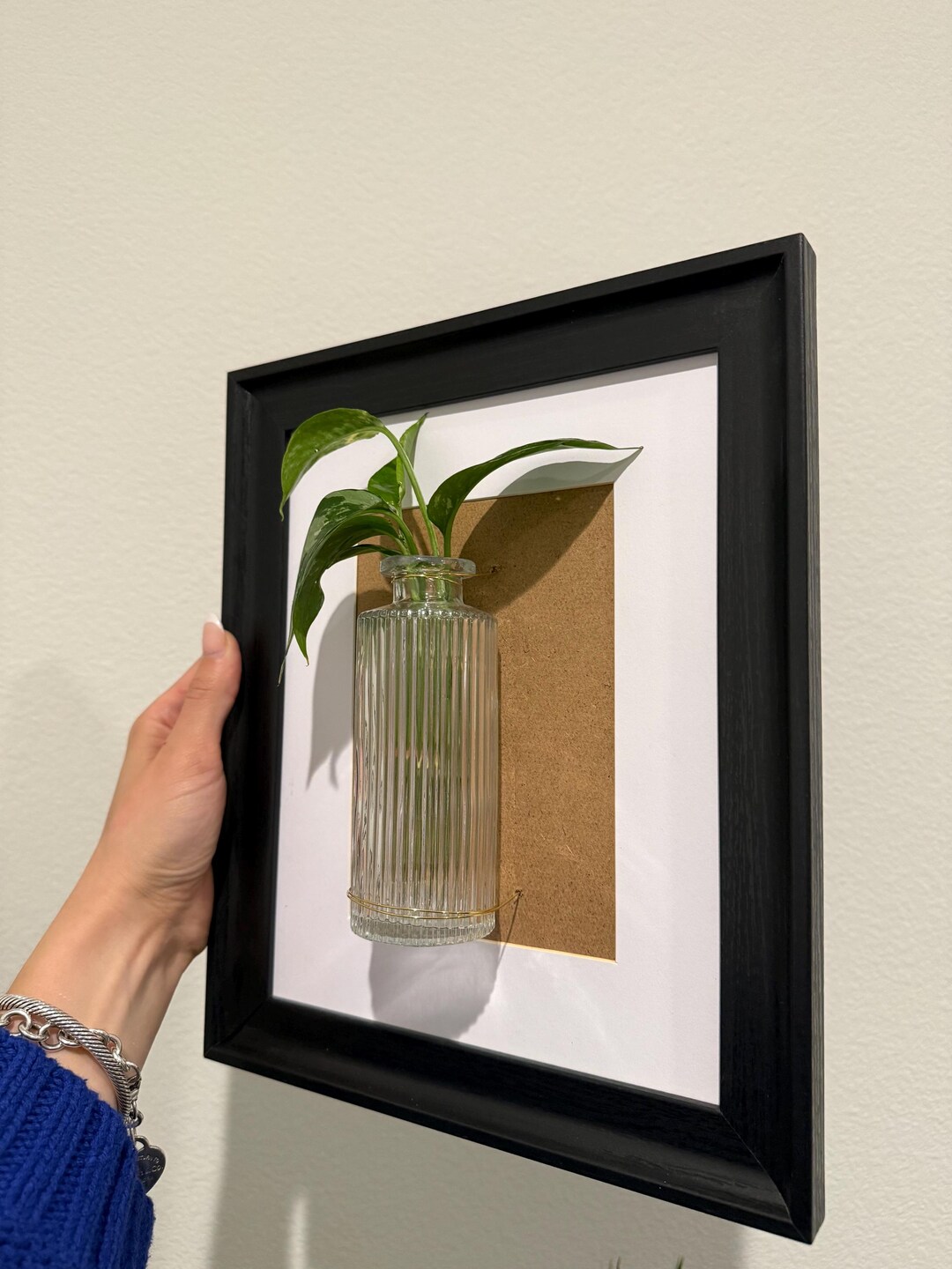 Plant Propagation Station Wall Frame - Etsy