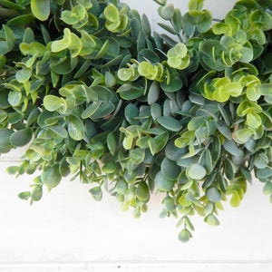 Eucalyptus Wreath-modern Farmhouse Décor-door Decor-choose Kindness ...
