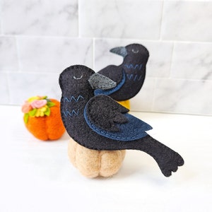 Felt Raven Pattern, Beginner Hand Sewing Tutorial. PDF & SVG Instant ...