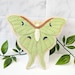 Felt Luna Moth Sewing Pattern - PDF & SVG Moth Pattern. Hand Embroidered Felt Insect. Felt Moth ...