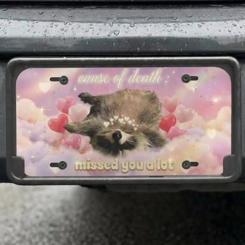 Funny Raccoon License Plate | Y2K Meme Car Decor - Etsy