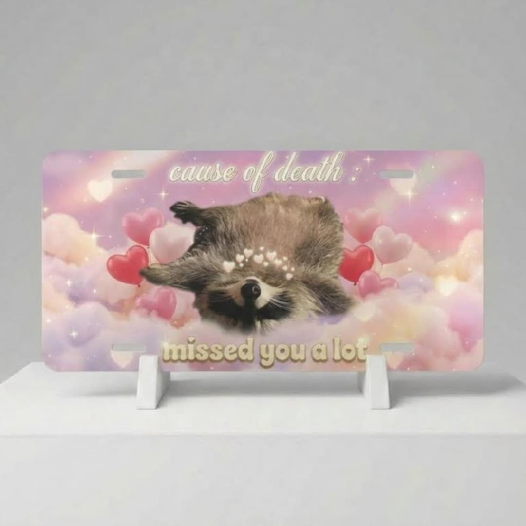 Funny Raccoon "missed You A Lot" Meme License Plate | Ironic Valentine ...
