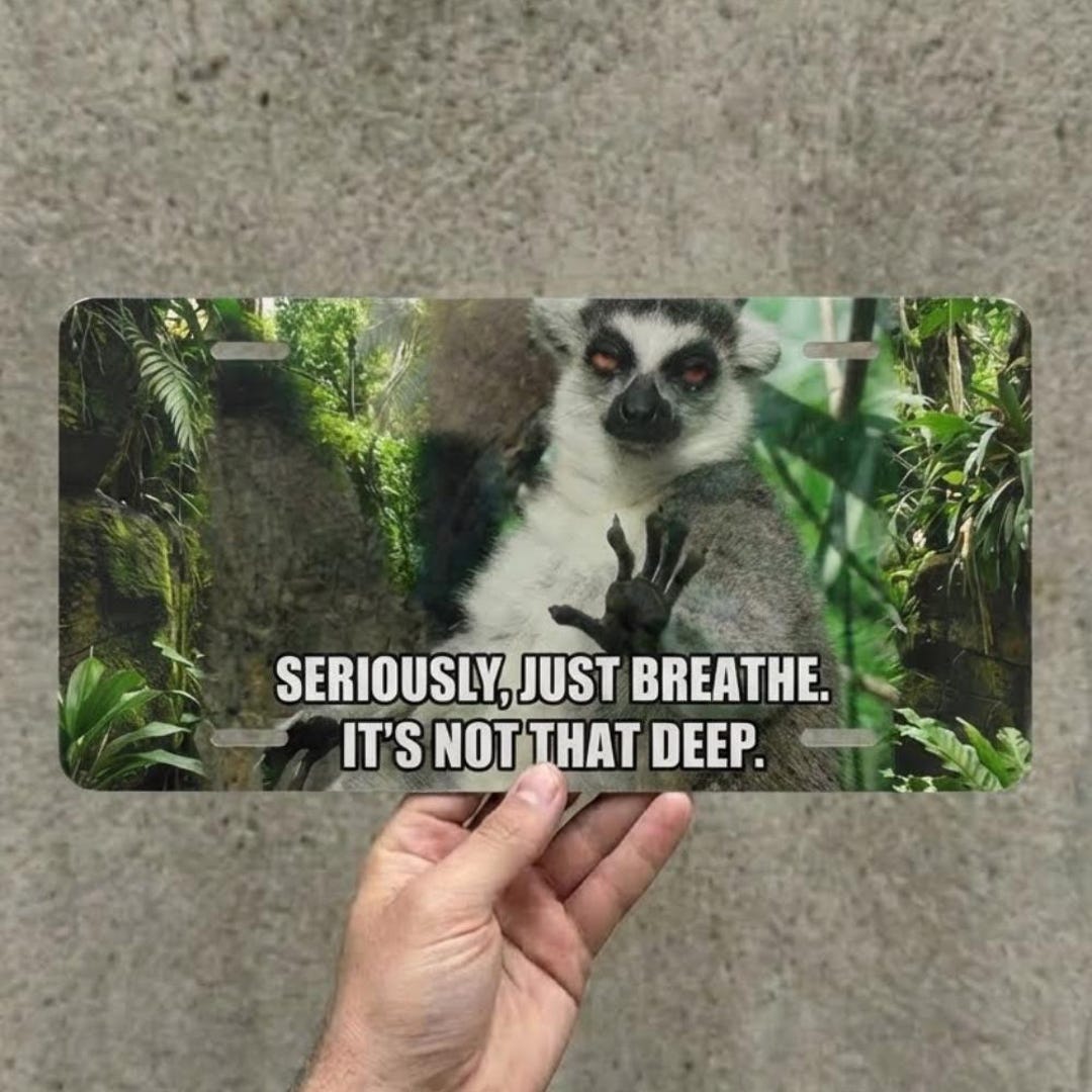 Ironic Lemur Meme "seriously Just Breathe" License Plate | Car Gift for ...