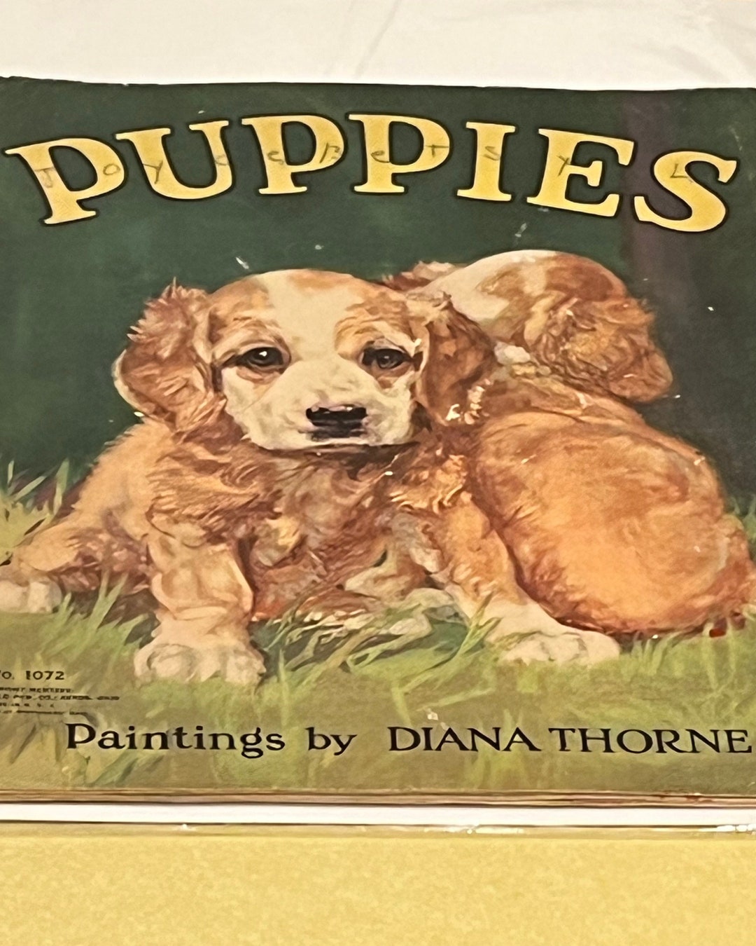 Puppy Dogs Childrens Book puppies Paintings by Diana Thorne 1935 - Etsy