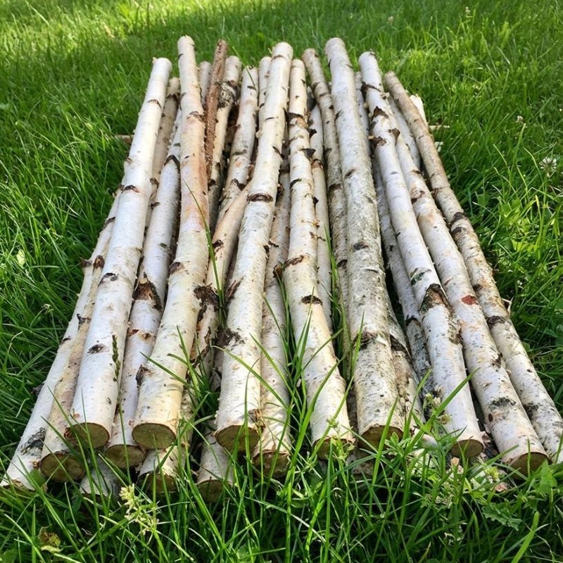 Birch Logs - Etsy