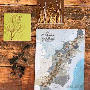 Appalachian Trail, Appalachian Trail Poster, National Trail, Camping ...