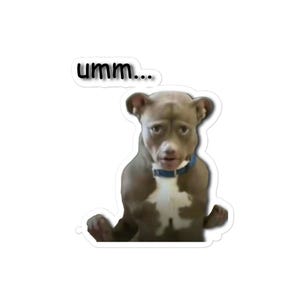 Umm...dog Meme Tiktok Reaction Sticker - Etsy
