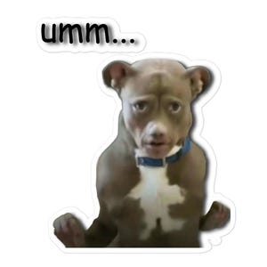 Umm...dog Meme Tiktok Reaction Sticker - Etsy