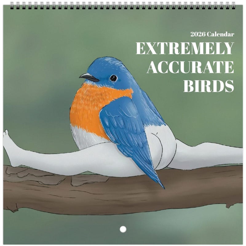 Funny 2026 Birds - Etsy