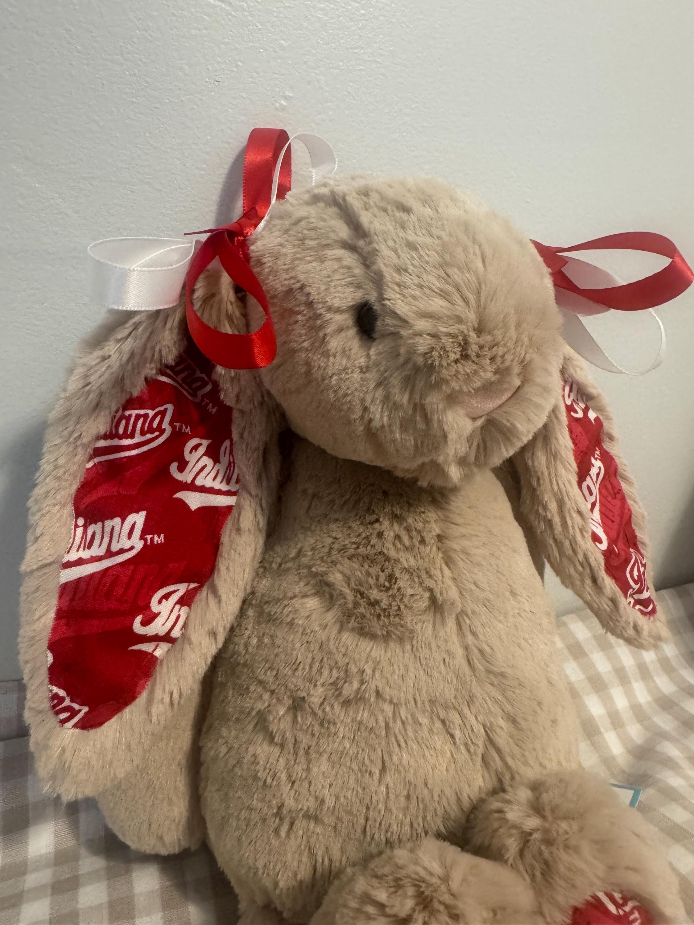 Custom Collegiate Jellycat - Etsy