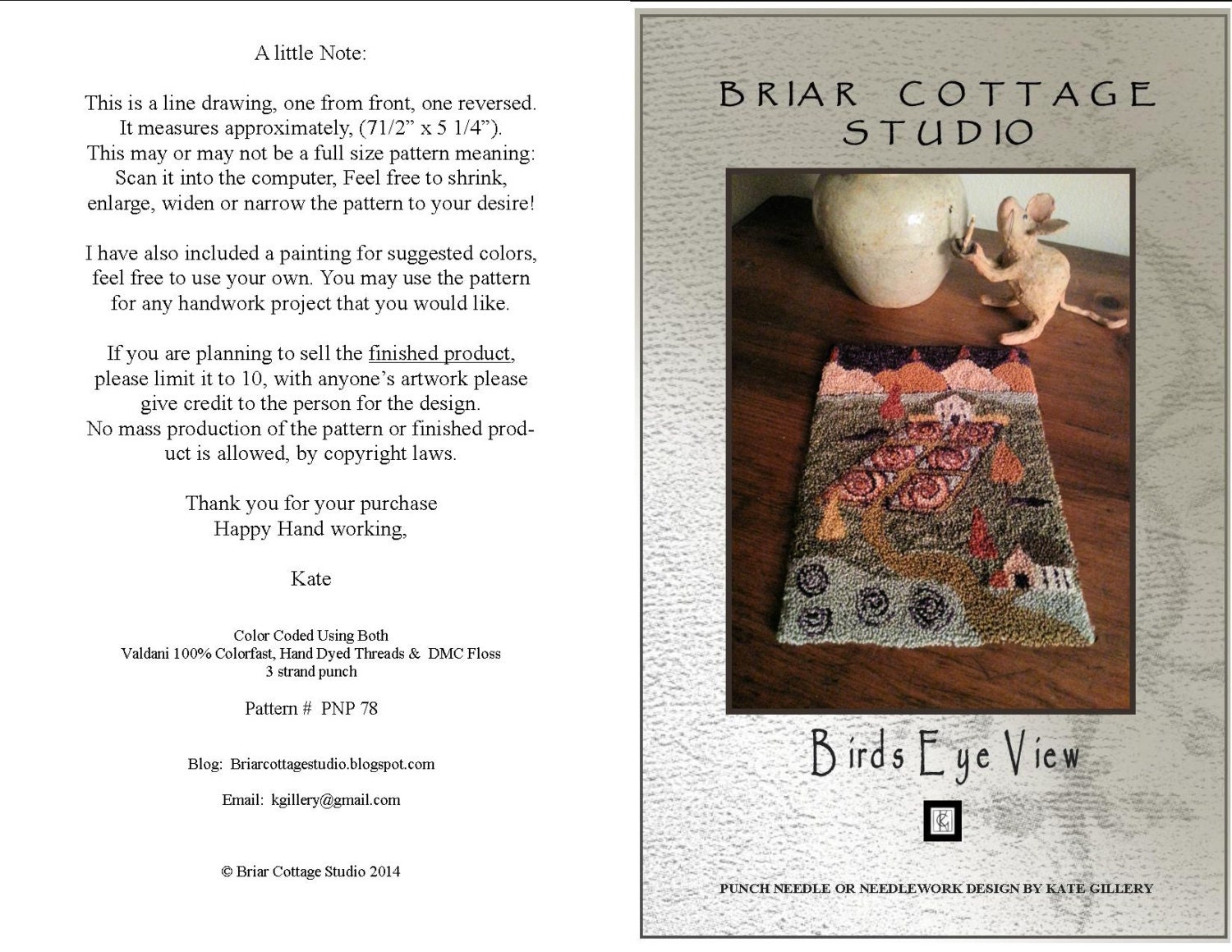 PRINTED Needle Punch Pattern birds Eye View PNP78P - Etsy