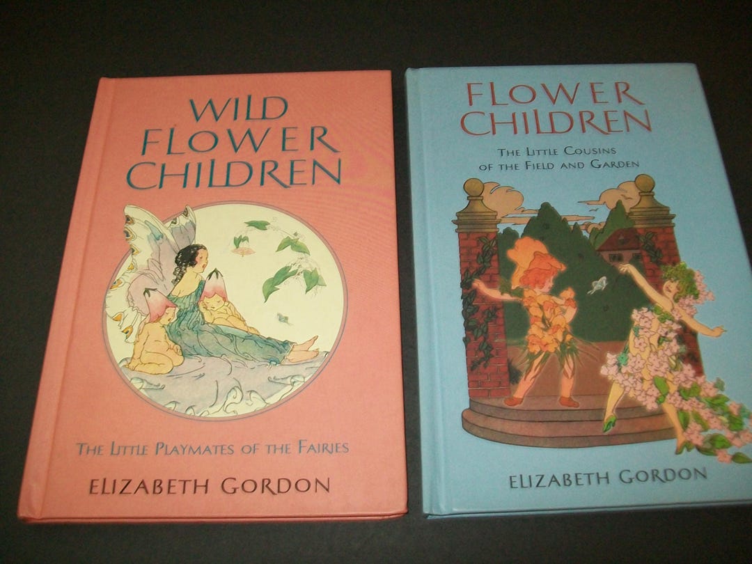 Vintage Children's Fairy Books, Flower Children, Elizabeth Gordon Books ...