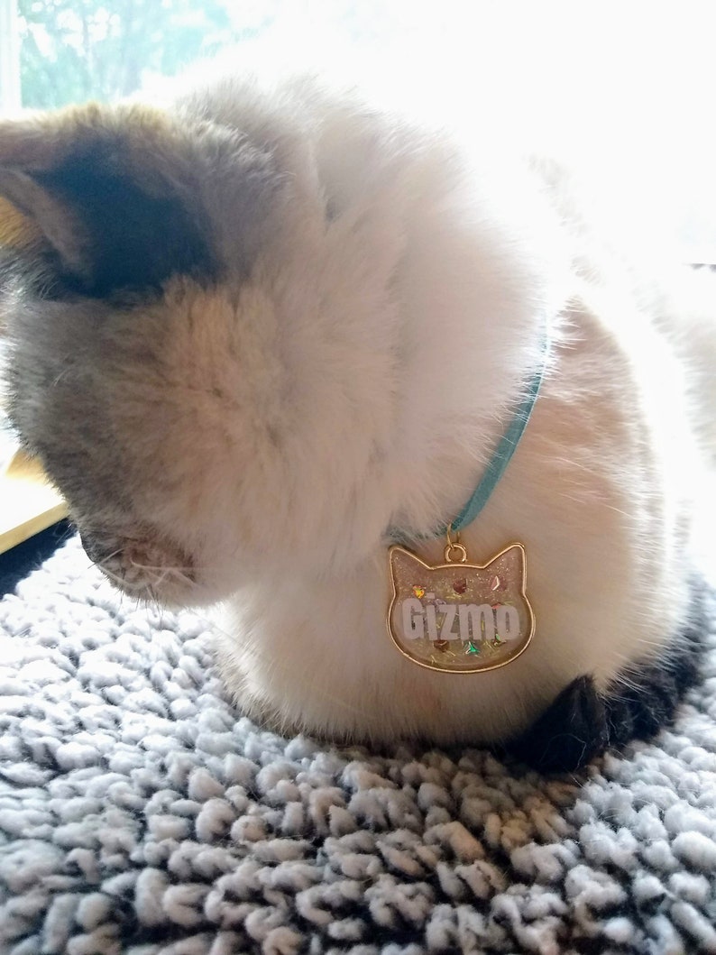 Cat Tag Personalized Resin Tag Pet ID Tag Cat - Etsy