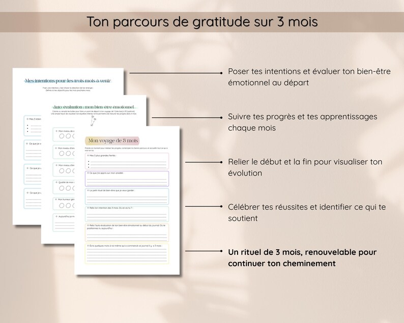 Journal de gratitude, Journal de santé mentale, Gestion de l'anxiété ...