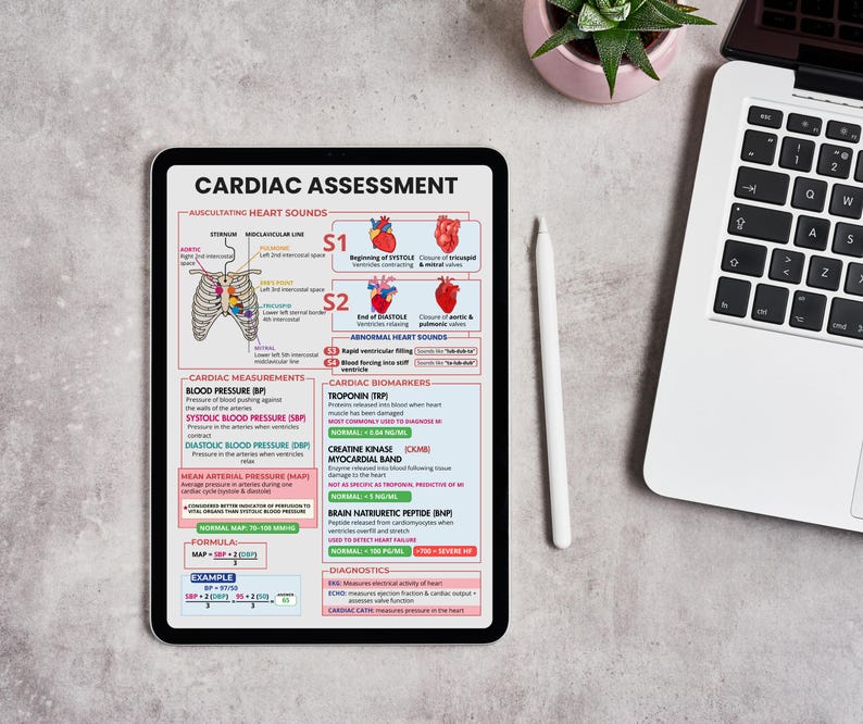 Cardiac Assessment Cheat Sheet for Nurses | Heart Sounds, Biomarkers ...