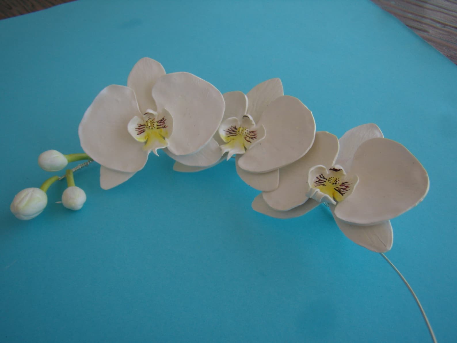 Polymer Clay Orchids Tutorials Ebook - Etsy