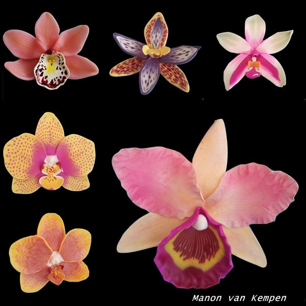 Clay Orchids - Etsy