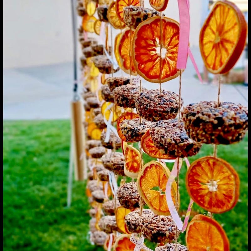 Bird Seeds String - Etsy