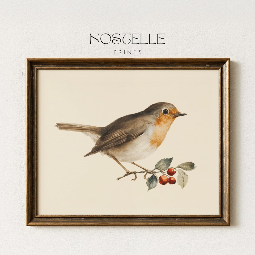 Vintage Robin Art Print Bird Illustration Wall Art Rustic Nature Decor ...