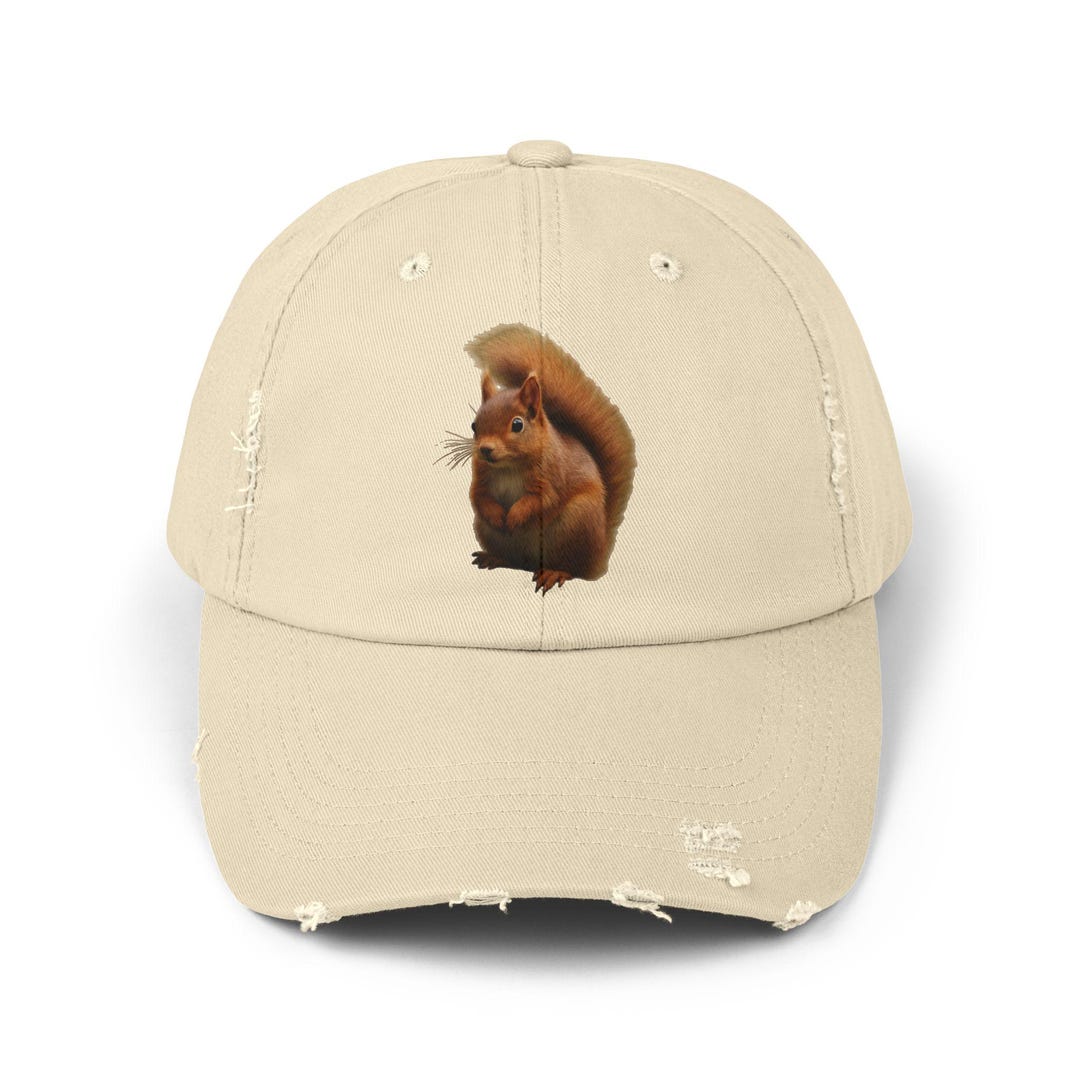 Red Squirrel Illustration Cap | Distressed Baseball Hat, Forest Animal ...