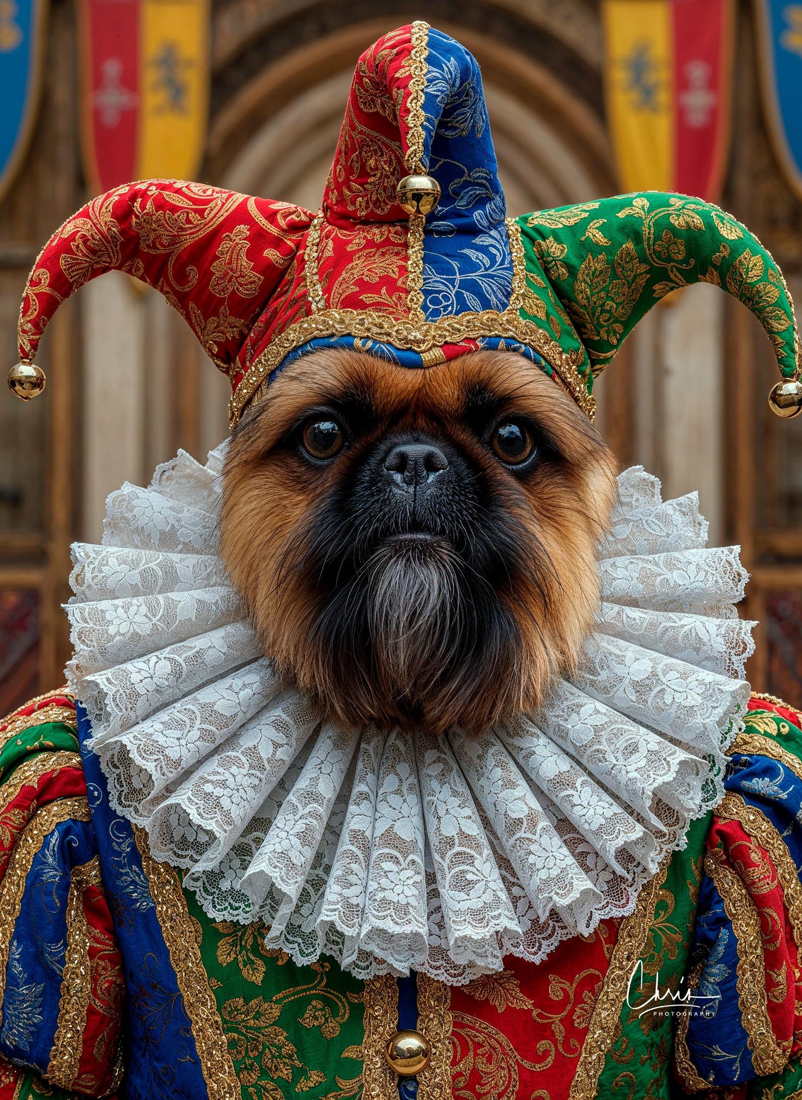 Portrait of YOUR Dog, Jester to the King of France, 100% Personalized ...