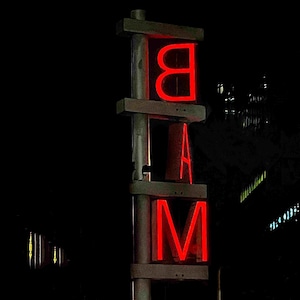 BAM Brooklyn Academy of Music Photograph: NYC Performing Arts Center - Etsy
