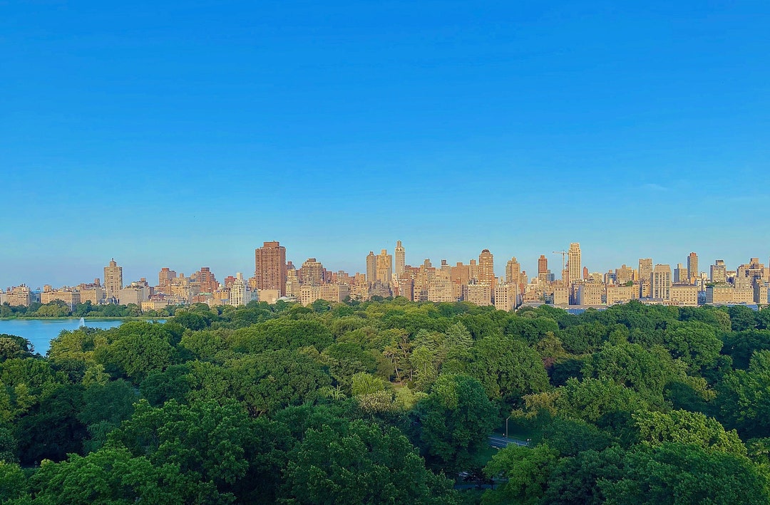 Manhattan Overlooking Central Park Looking Over Manhattan! NY Cityscape ...
