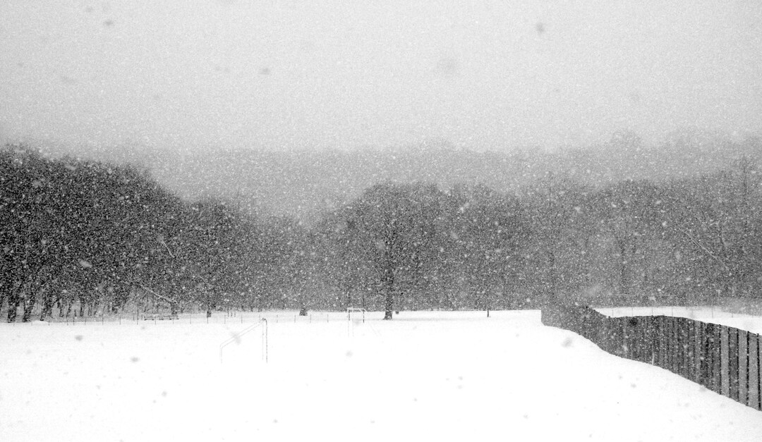 SNOW / Van Cortlandt Park, Bronx / Skyscape / BW Snowscape NYC Park - Etsy