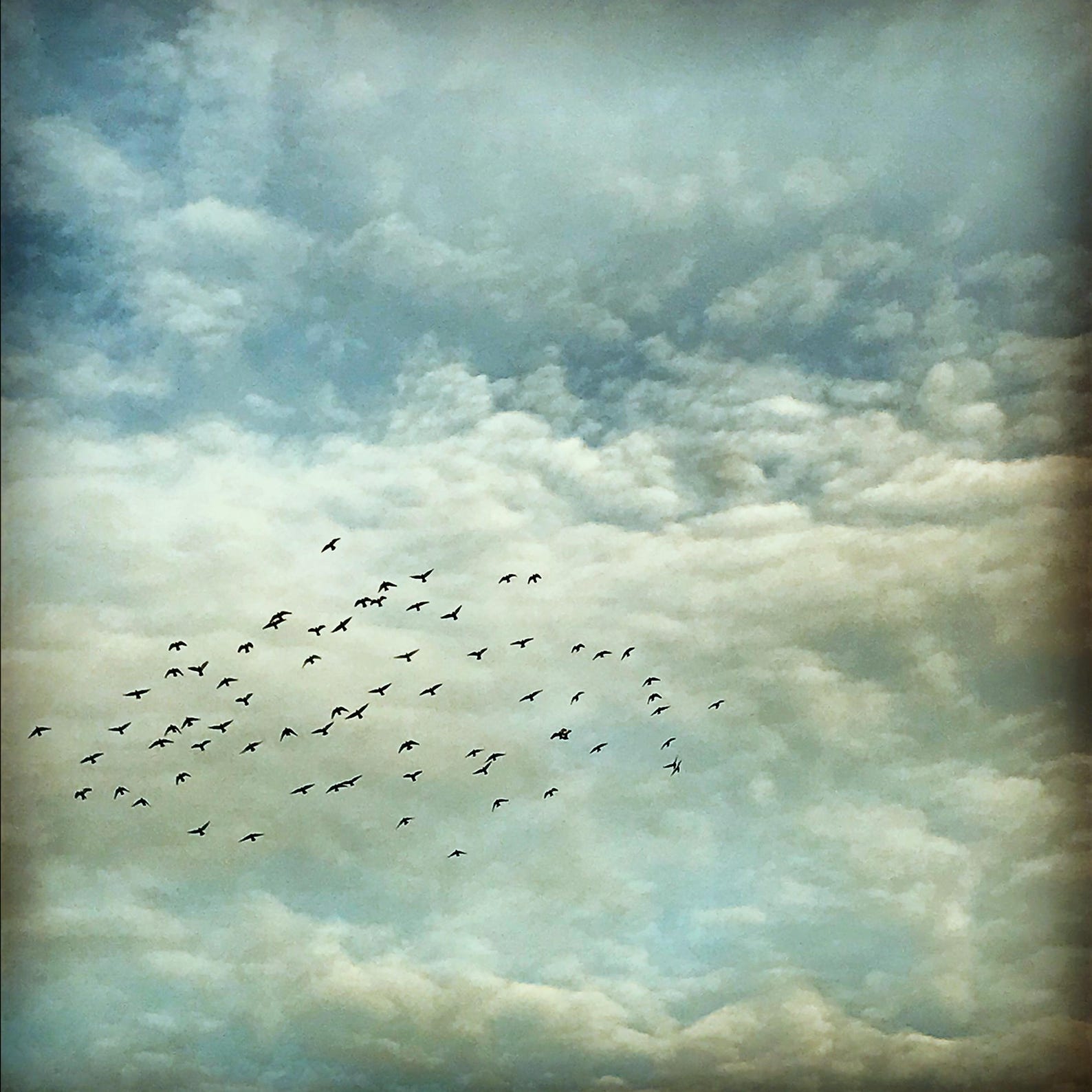 Birds-a-flying / Peaceful Image / Sky Scape Photography - Etsy