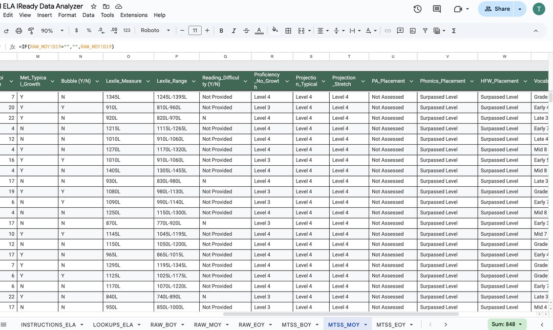 I-ready ELA Data Analyzer - Etsy