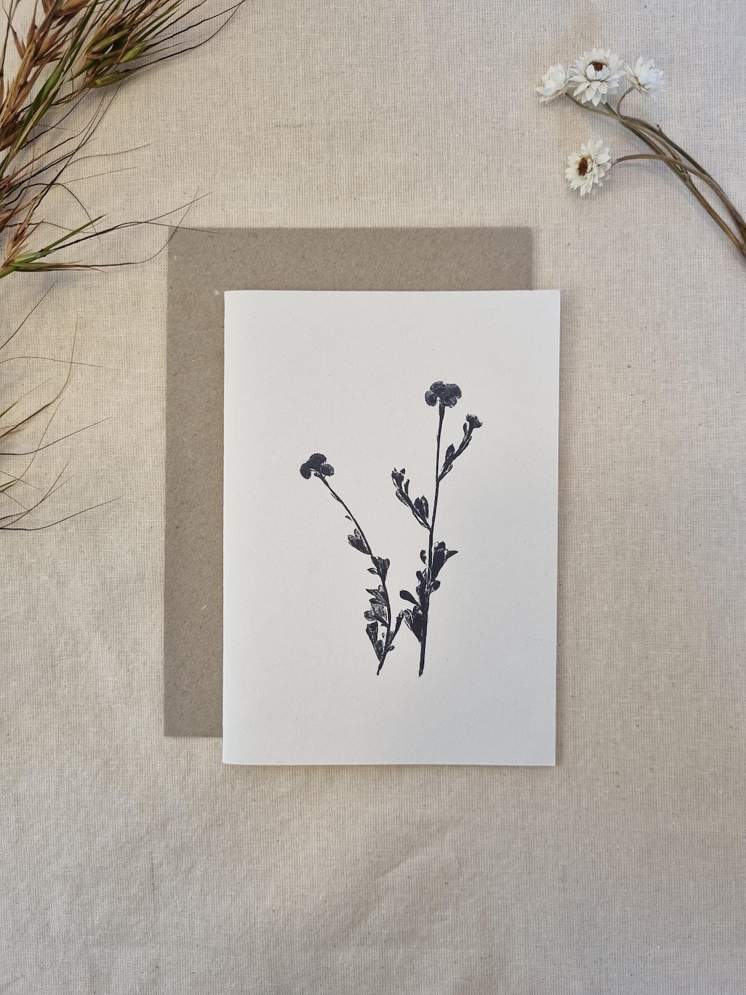 Australian Native Botanical Greeting Card - Common Everlasting Flowers ...