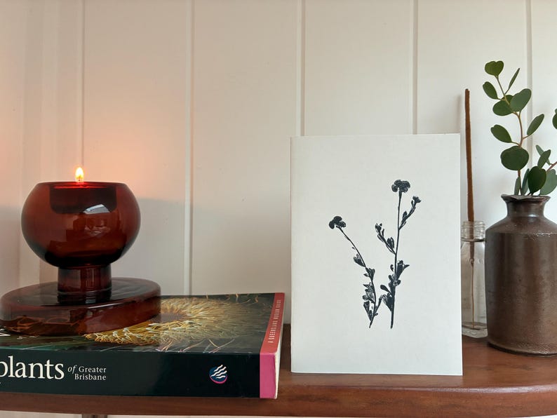 Australian Native Botanical Greeting Card - Common Everlasting Flowers ...