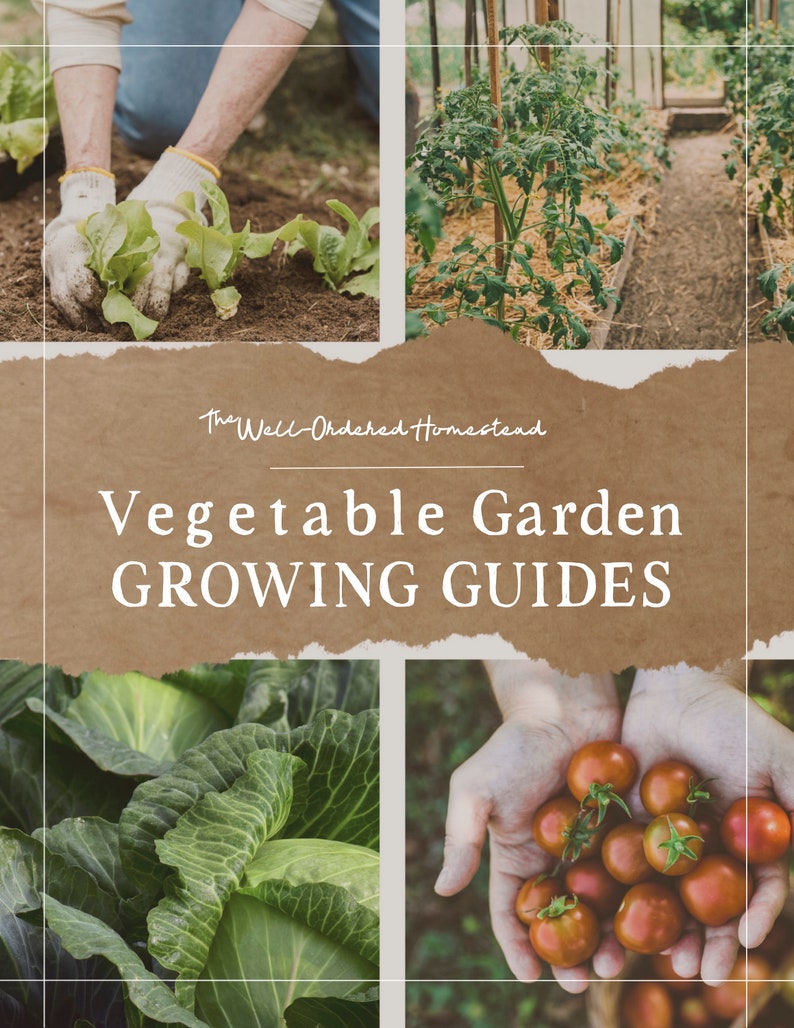 VEGETABLE GARDEN GUIDES - How to Grow Vegetables - Homestead Garden ...