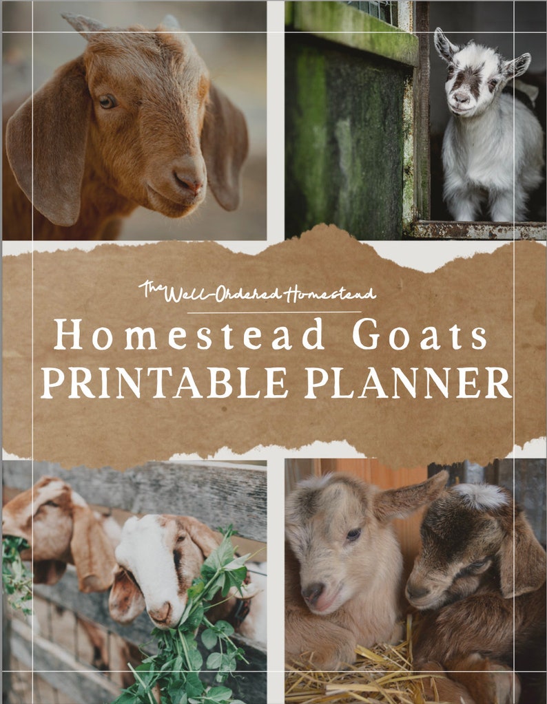 HOMESTEAD GOAT PLANNER Digital Printable Homestead Management Pdf ...