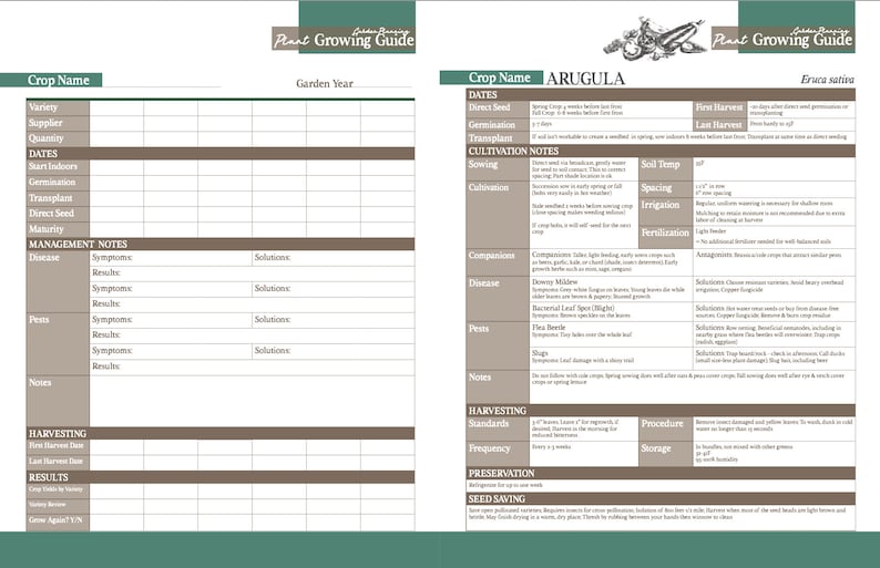 VEGETABLE GARDEN GUIDES How to Grow Vegetables Homestead Garden Growing ...
