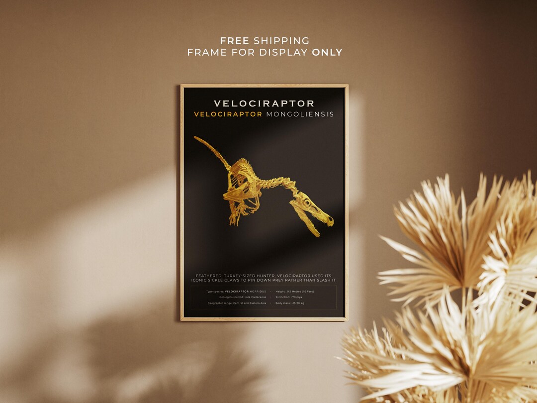 Velociraptor Fossil Poster - Dark Gold Paleontology Decor - Etsy